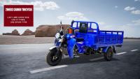 China Affordable 200cc Air Cooled Cargo Motor Tricycle with 5.0-12 Tire Size and Performance for sale