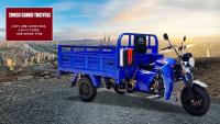 China Affordable 200cc Air Cooled Cargo Motor Tricycle with 5.0-12 Tire Size and Performance for sale