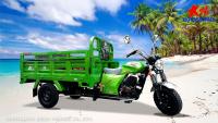 China 250W Three Wheel Cargo Motorcycle for Cargo 150CC Air Cooling Cargo Tricycle for sale