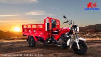 China Lifan Tricycle Cargo for Adults in Panama 1 Passenger Single Cylinder 4 Stroke Engine for sale