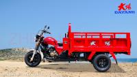 China Lifan Tricycle Cargo for Adults in Panama 1 Passenger Single Cylinder 4 Stroke Engine for sale