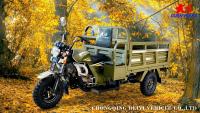 China 50*100 Chassis 3 Wheel Electric Tricycle Motorcycle in Philippines with Passenger Seat for sale