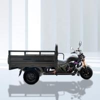 China Paraguay Market Gasoline Fuel Tricycles Motorcycle Cargo Tricycle with Open Body Type for sale