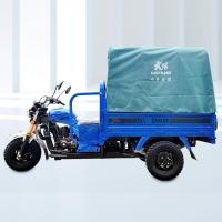 China 400kg Payload Capacity 200cc Petrol Cargo Tricycle for Cargo Transportation for sale