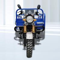 China 400kg Payload Capacity 200cc Petrol Cargo Tricycle for Cargo Transportation for sale