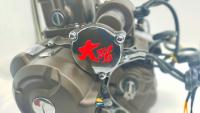 China Single Cylinder Four Stroke DAYANG LIFAN Motorcycle Engine Assembly 150ml CDI Ignition for sale