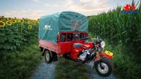 China Passenger Tricycle With Roof Single Cyclinder 4 Stroke Engine Type Curb Weight ≥500kg for sale
