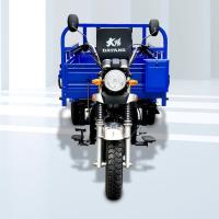 China Maximum Speed of ≥70Km/h Gas Powered Cargo Tricycle with Front Disc Rear Drum Brake for sale