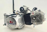 China Origin CCC 110CC DAYANG Complete Motorcycle with Ignition and Nature Cylinder Style for sale