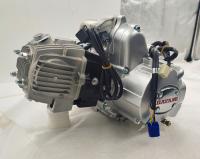 China Origin CCC 110CC DAYANG Complete Motorcycle with Ignition and Nature Cylinder Style for sale