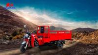 China Passenger Adult Tricycle with Two Seats 5.0-12 Tire Size and Diesel Engine for sale