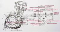 China Experience Optimal Performance with 300cc Water-Cooled Engine from Chongqing Lifan for sale