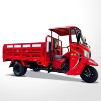 China Tuc Tuc Triciclo Gasoline Motorcycle with Chassis 50*100 and Payload Capacity ≥400kg for sale