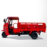 China Tuc Tuc Triciclo Gasoline Motorcycle with Chassis 50*100 and Payload Capacity ≥400kg for sale
