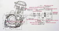 China Kick Start 300cc Water-Cooling 3 Wheel Motorcycle Engine with 4 Stroke Cylinder for sale