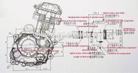 China 300cc Water Cooled Gasoline Engine Torque 19.5/5000 1 Cylinder 4 Stroke Gasoline for sale