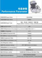 China 41.5kg Net Weight Standard OE NO. Four Stroke Air Cooled Lifan 250cc Motorcycle Engine for sale