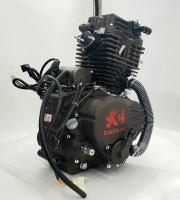 China 200cc Water-Cooled Petrol 3 Wheels Motorcycle Engine Assembly 1 Cylinder 4 Stroke 31 CDI for sale