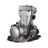China LIFAN/LONCIN/ZONGSHEN/DAYANG 300cc Motorcycle Tricycle Engine Electric/Kick Starter for sale