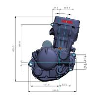 China LIFAN/LONCIN/ZONGSHEN/DAYANG 300cc Motorcycle Tricycle Engine Electric/Kick Starter for sale
