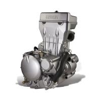 China 300cc Motorcycle Tricycle Engine LIFAN/LONCIN/ZONGSHEN/DAYANG Shift Gears for sale