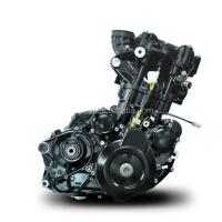 China LIFAN/ZONGSHEN/LONCIN/DAYANG 652 Cm3 Motorcycle Engine Water Cooled 4 Stroke EFI DOHC for sale