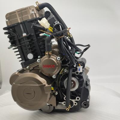 China 300cc Motorcycle Engine Assembly Single Cylinder Four Stroke Style for sale