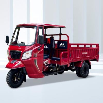 China Cargo Box Size 2.4*1.35m Gas Cargo Trike Tuk Tuk Trimoto with Powerful Displacement for sale