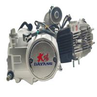 China Complete Motorcycle Nature 110CC Engine Cylinder Style A Class Origin Ignition CCC for sale