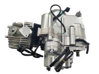 China Complete Motorcycle Nature 110CC Engine Cylinder Style A Class Origin Ignition CCC for sale