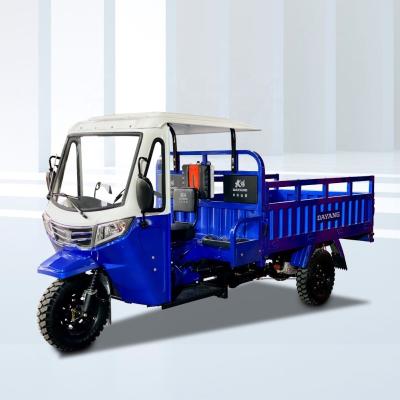 China Experience the Power of 1000W Motor Tricycles in Sri Lanka Cargo Box Size 2.4*1.35m for sale