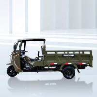 China Kenya 3 Wheel Cargo Tricycle Motorcycle with High Displacement and Curb Weight ≥500kg for sale