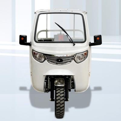 China Affordable Cargo Tricycle for Nigeria Market Tire Size 5.0-12 Displacement 250cc for sale