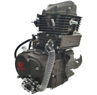 China DAYANG LIFAN CG150cc Cool Engine Motorcycle Assembly with Kick Start and 1 Cylinder for sale