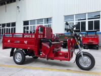 China DAYANG Tricycle Motorcycle Cargo with 110cc Air Cooled Engine 3 Wheels and 4.0-12 Tires for sale