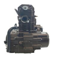 China 150cc DAYANG LIFAN CG150 Water-cooled Motorcycle Engine with 9.2 1 Compression Ratio for sale