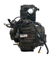 China Wolf 200cc Engine Single Cylinder Style Electric/Kick Method Origin Type for sale