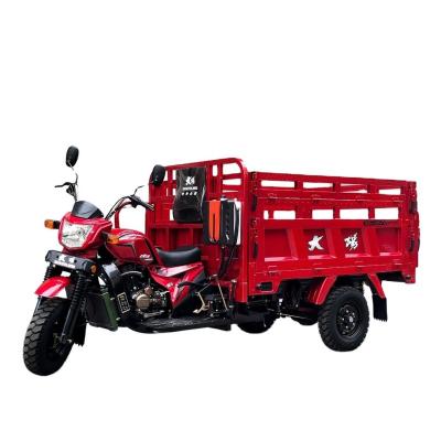 China Peru Market DAYANG Tricycle with Powerful 200cc/250cc/300cc Engine and Three Wheels Type for sale