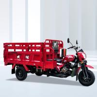 China Peru Market DAYANG Tricycle with Powerful 200cc/250cc/300cc Engine and Three Wheels Type for sale
