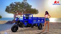 China 200cc/250cc/300cc 3 Wheels Motorcycles for Adult Car Auto Dumping Cargo Motorcycle Loader CCC Origin Type for sale