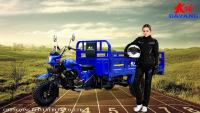 China 200cc/250cc/300cc 3 Wheels Motorcycles for Adult Car Auto Dumping Cargo Motorcycle Loader CCC Origin Type for sale