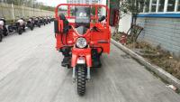 China 200CC/250CC/300CC Cargo Tricycle with Hydraulic Power and Spring Motorized Origin09 Type for sale