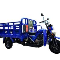 China 12V Voltage 175cc Heavy Loading Motorized Cargo Tricycles for Cargo Transportation for sale
