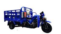 China 12V Voltage 175cc Heavy Loading Motorized Cargo Tricycles for Cargo Transportation for sale
