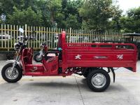China Red 201 250cc Petrol Gasoline Passenger 4.00-12 55km/h 800W CN CHO DAYANG Three Wheel Tricycle Air Cooled Engine for sale