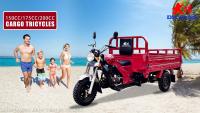 China Motorized Cargo Tricycle 150CC/175CC/200CC Front/Rear Tire 5.00-12/5.00-12 Drum Brake for sale