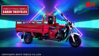 China Motorized Cargo Tricycle 150CC/175CC/200CC Front/Rear Tire 5.00-12/5.00-12 Drum Brake for sale