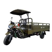 China Open Body Type DAYANG Cargo Motor Tricycle with Front Drum and Rear Drum Brake System for sale