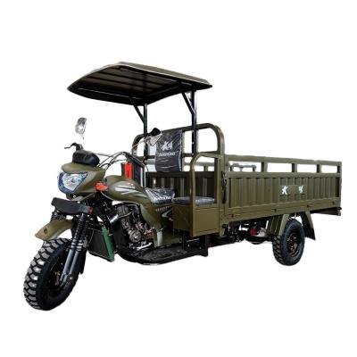 China Open Body Type DAYANG Cargo Motor Tricycle with Front Drum and Rear Drum Brake System for sale