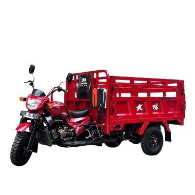 China 1 Passenger DAYANG Luxury Gas Power Cargo Tricycle 201 250cc Hydraulic 09 Type 2m*1.3m for sale